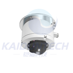 Atex Approval 2MP 1X Explosion Proof Anti-Corrosion PTZ IR Dome IP CCTV ...